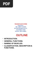 Torbay Cuff Protocol | PDF | Anatomical Terms Of Motion | Shoulder