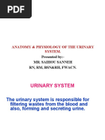Histology of Git | PDF | Epithelium | Human Digestive System
