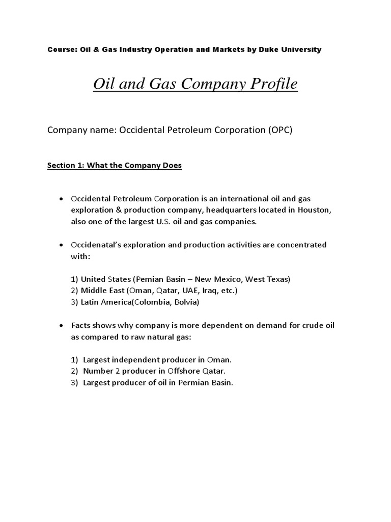 Oil and Gas Company Profile | PDF | Petroleum Industry | Petroleum