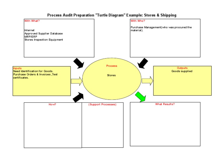 Turtle Diagrams - Stores + Shipping | PDF