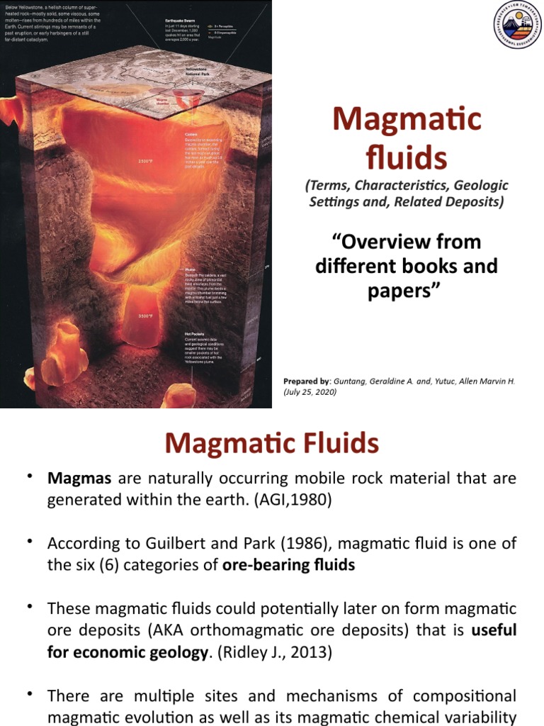 Magmatic and Hydrothermal Fluids | PDF | Magma | Physical Sciences