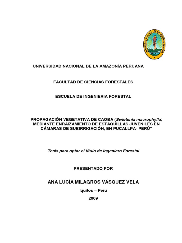 Caoba PDF | PDF | Raíz | Tallo de la planta