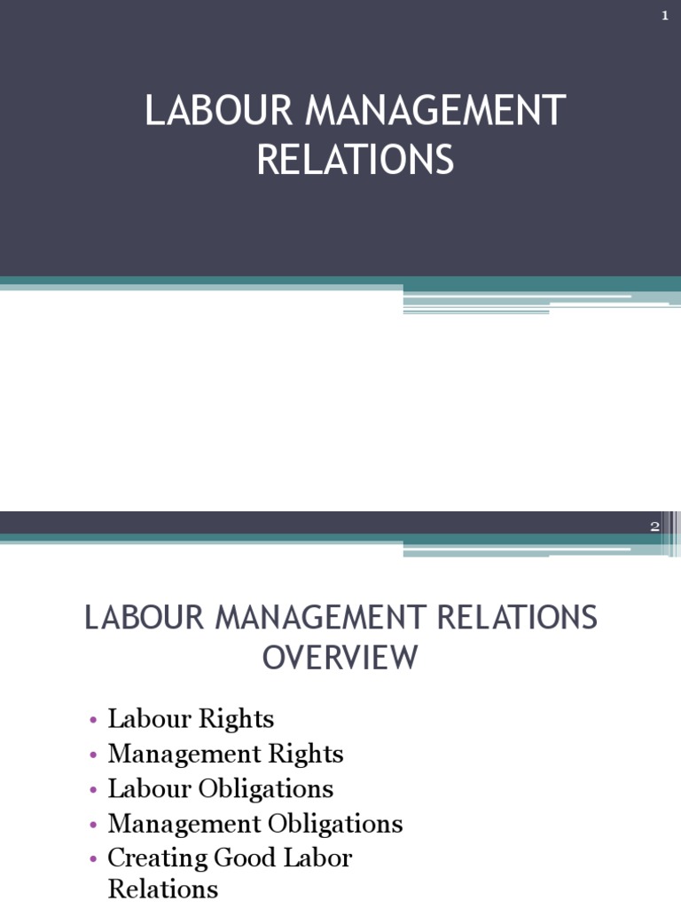 Labor Management Relations | PDF