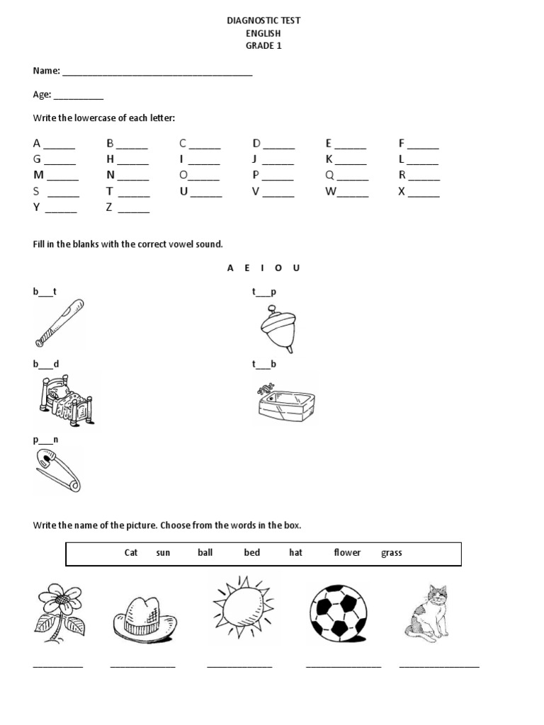 Diagnostic Test | PDF | Symbols | Linguistics