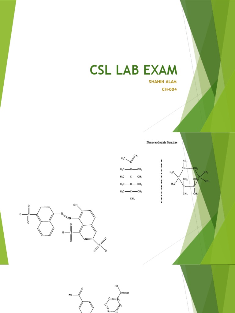 CSL Lab Exam | PDF