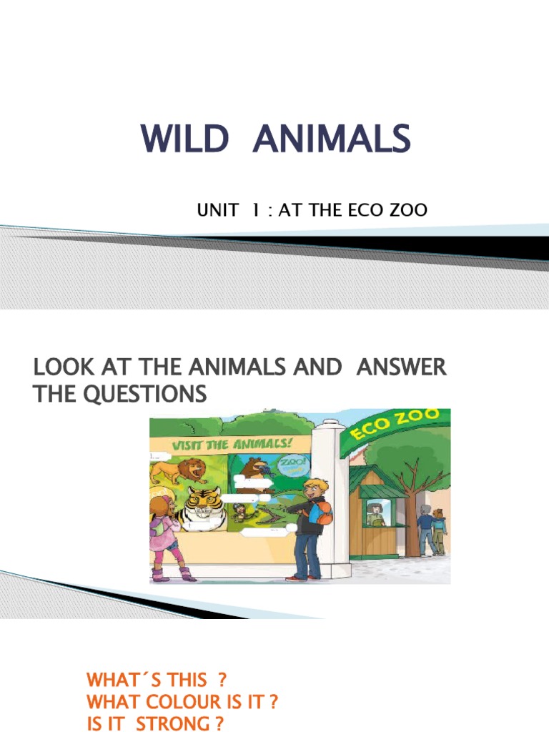 14 4° - Wild Animals - Unit 1 - Powerpoint | PDF
