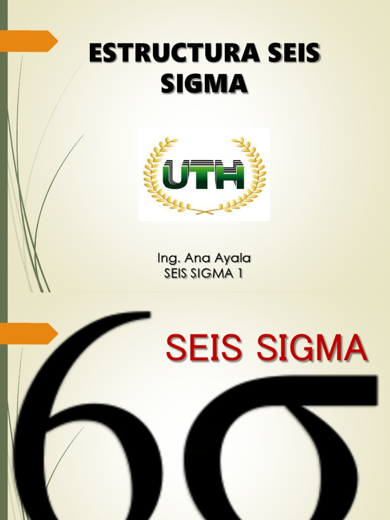 Fundamentos 6sigma Estructura | PDF | Six Sigma | Business