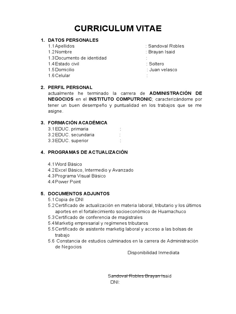 Curriculum Brayan | PDF