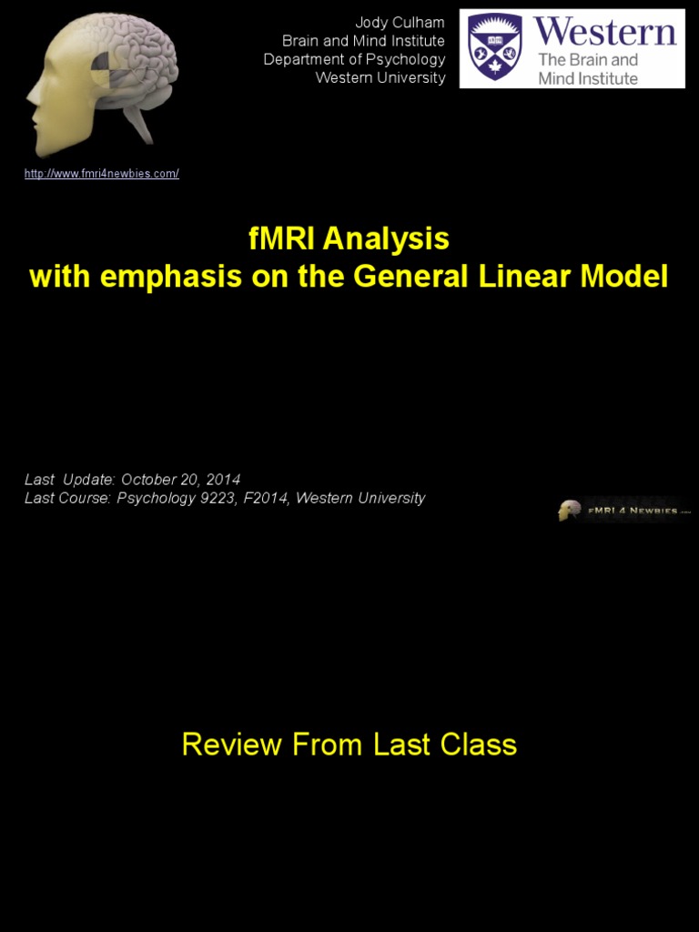 Fmri Analysis With Emphasis On The General Linear Model Pdf P Value