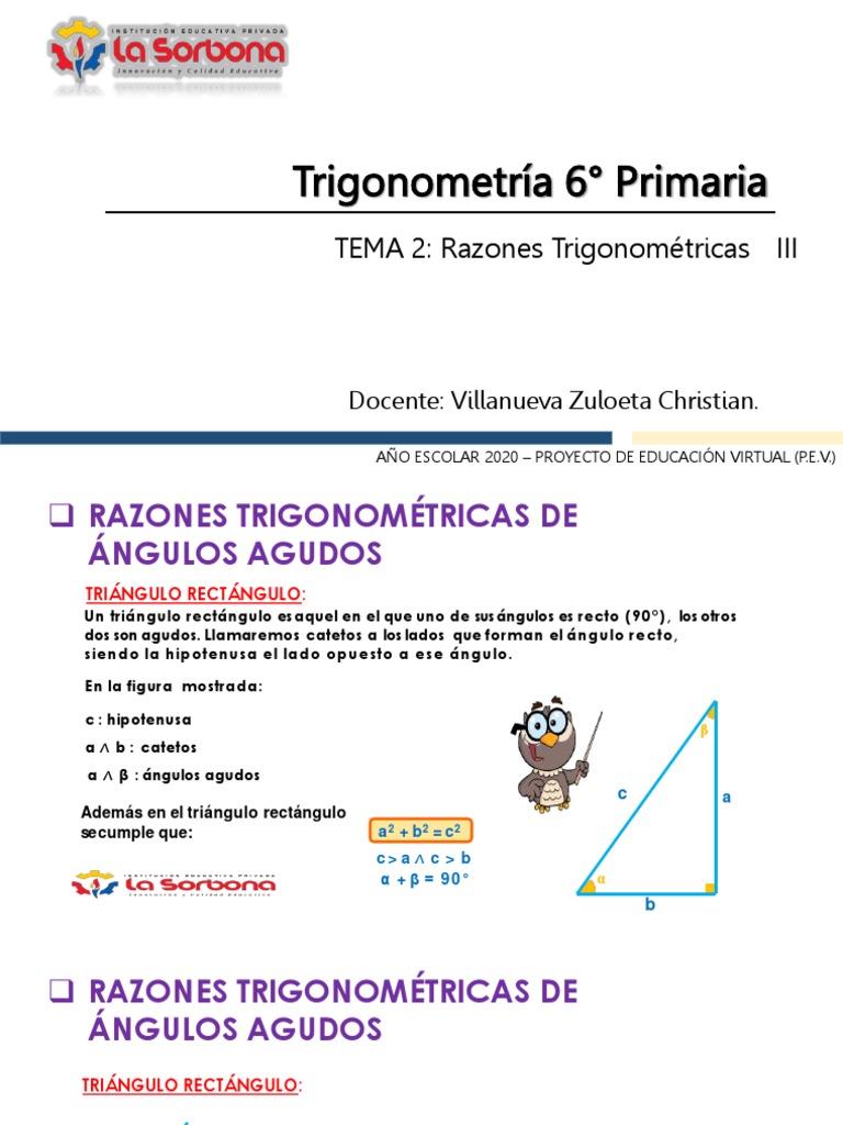 Razones Trigonométricas 6° Prim | PDF | Funciones trigonométricas ...