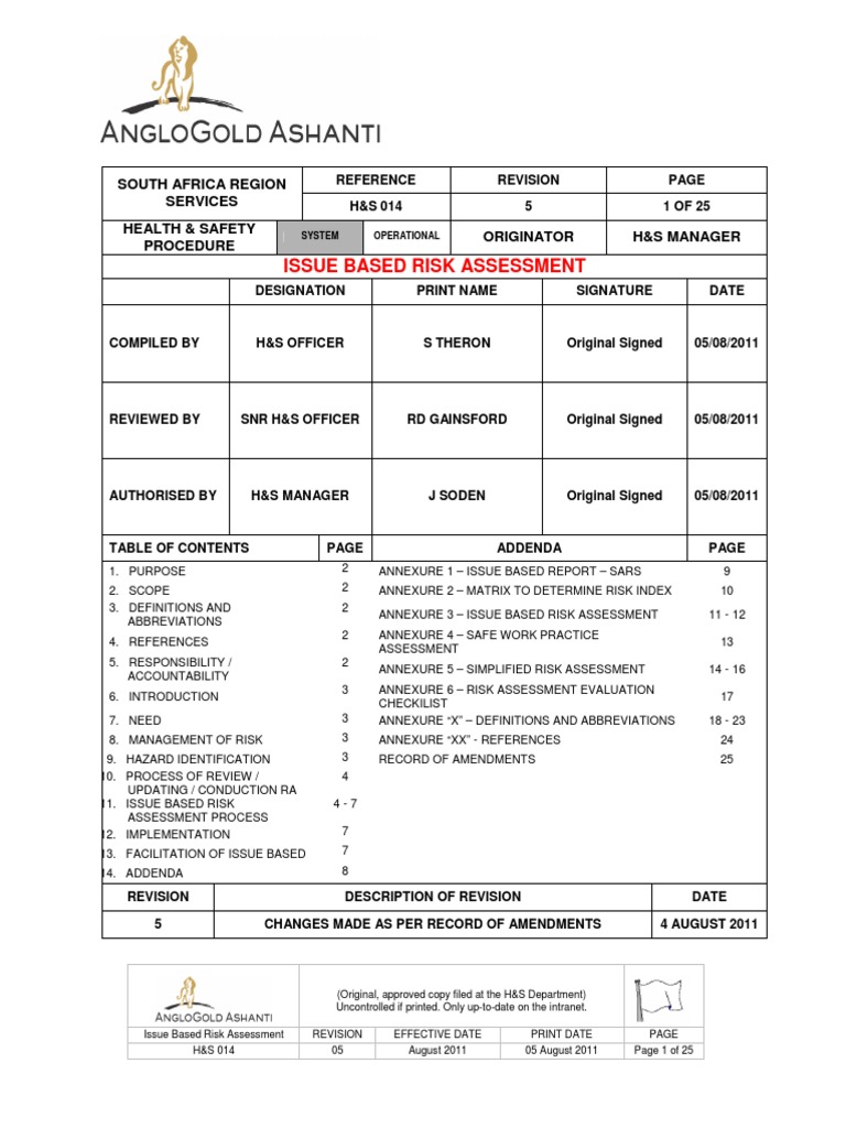 HS 014 Issue Based Risk Assessment | PDF | Risk Assessment ...