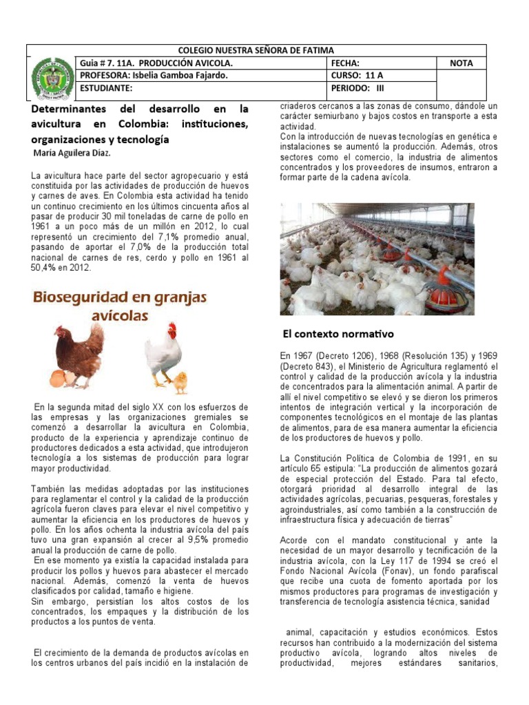 Producción Avicola. | PDF | Granero | Aves