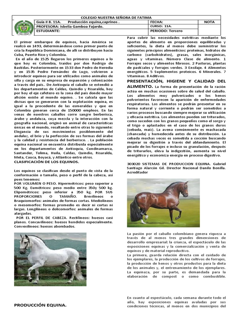 Producción Equina-Caprinos. | PDF | Carne | Alimentos
