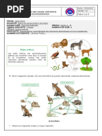 Las Cadenas Troficas - Las Redes Troficas (Alumno) | PDF | Red ...