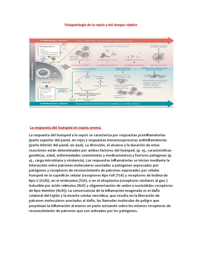 Fisiopatología de la sepsis y del choque séptico EXPO | PDF ...