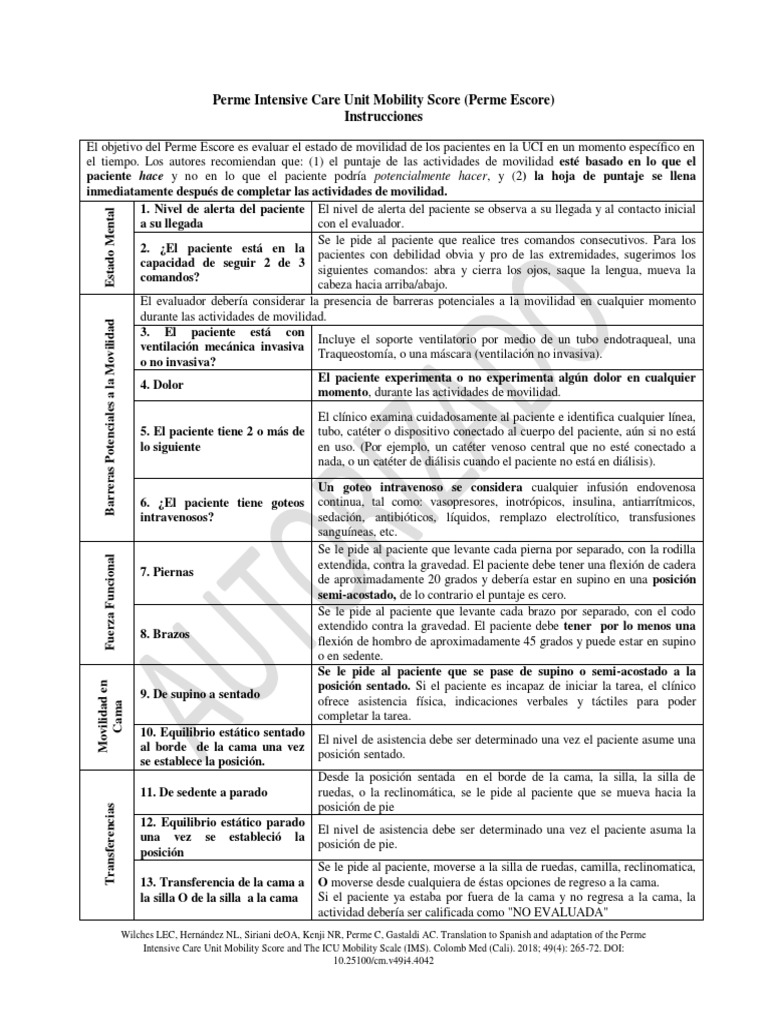 Versión en Español Del Perme Escore | PDF | Terapia intravenosa ...