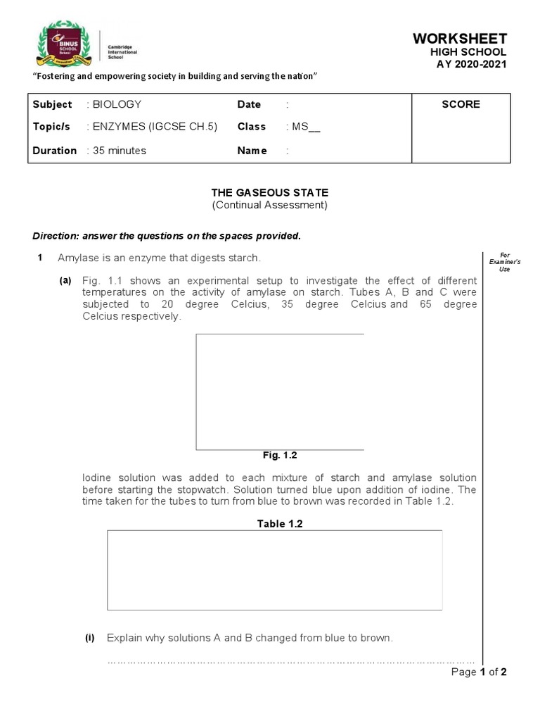 Enzyme Activity Worksheet: IGCSE | PDF | Chemistry | Nature
