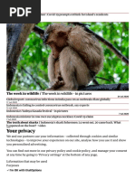 AEC Matador Driver's Manual PDF | PDF | Clutch | Transmission (Mechanics)