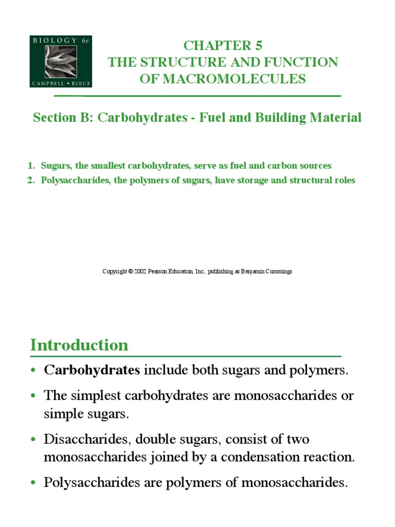 The Structure And Function Of Macromolecules Section B Carbohydrates Fuel And Building