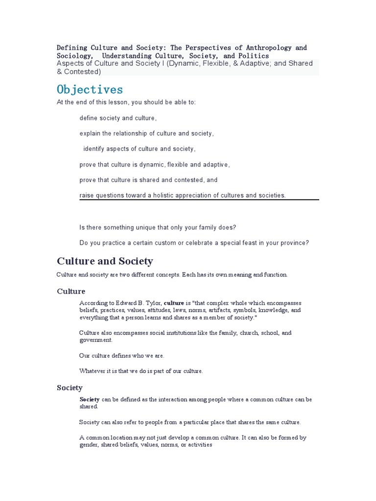 Defining Culture and Society Dynamics | PDF | Social Science