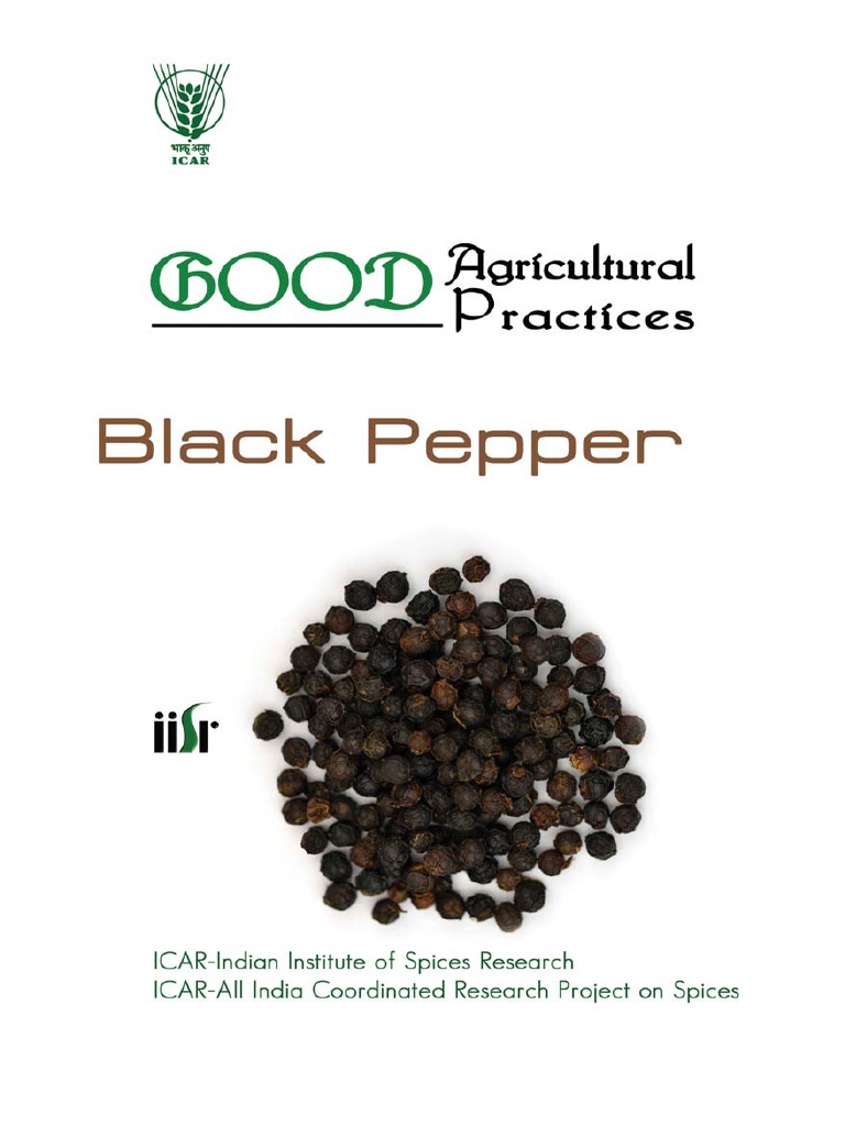 BLACK PEPPER GUIDE | PDF | Black Pepper | Fertilizer