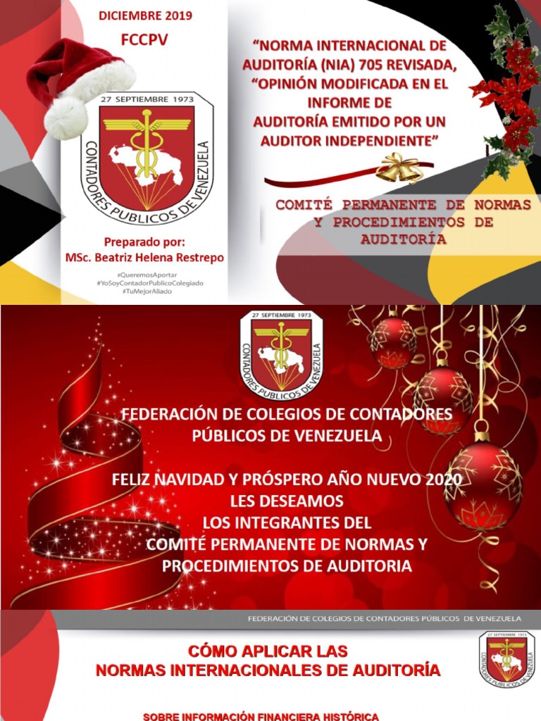 Norma Internacional de Auditoría (NIA 705) | PDF