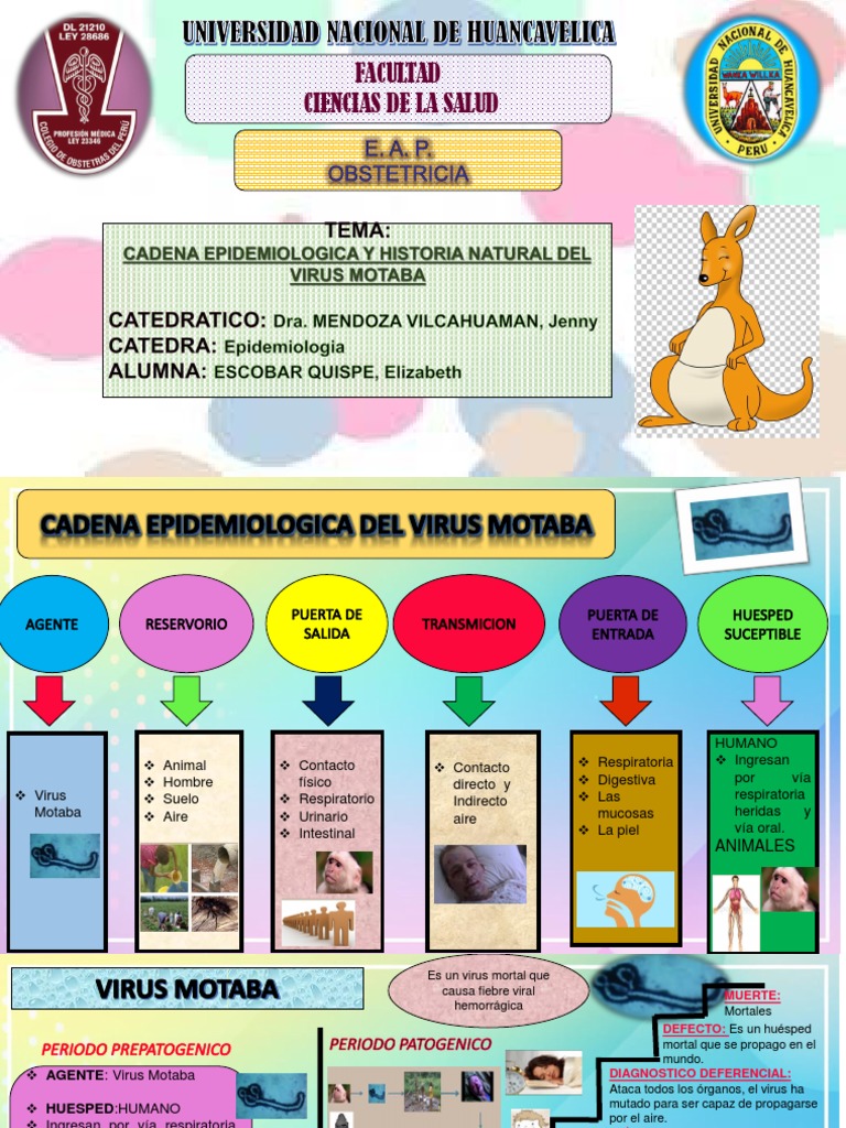 V. Motaba | PDF | Virus | Rtt