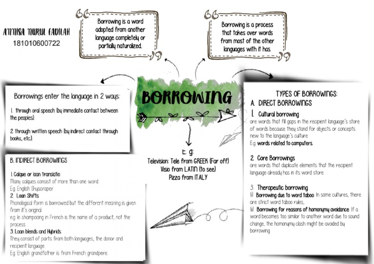 Borrowing: Types of Borrowings: A. Direct Borrowings | PDF