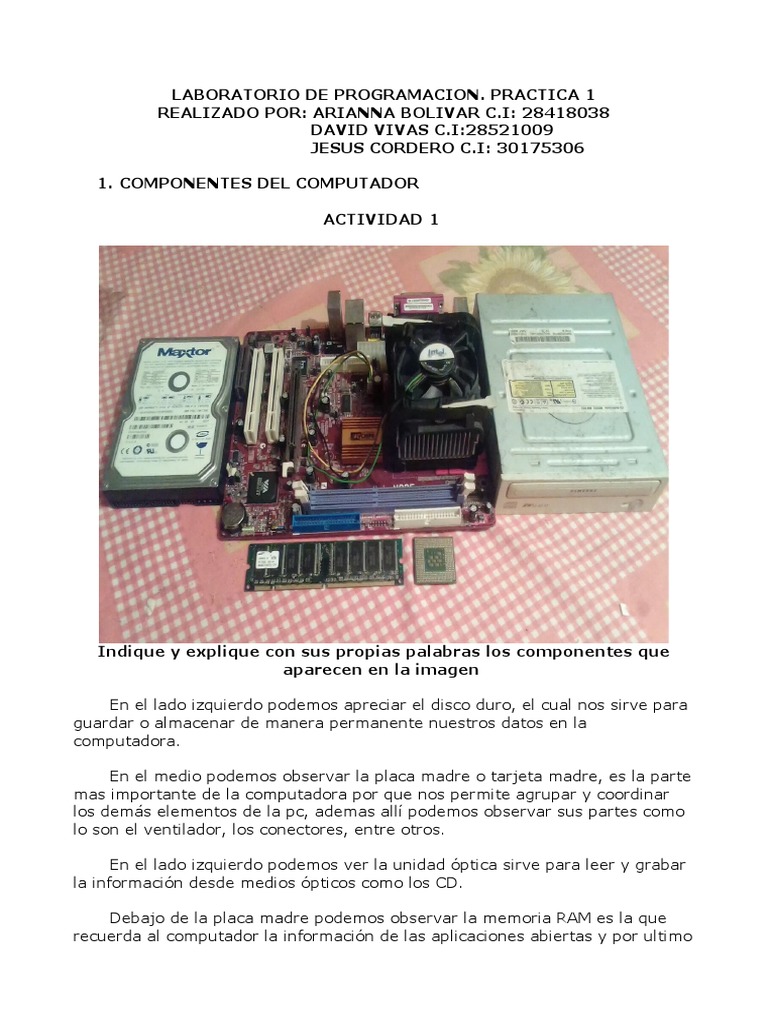 Practica de Laboratorio Programacion | PDF | Algoritmos | Programa de computadora