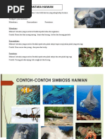 Poster Larian Riang Ria | PDF