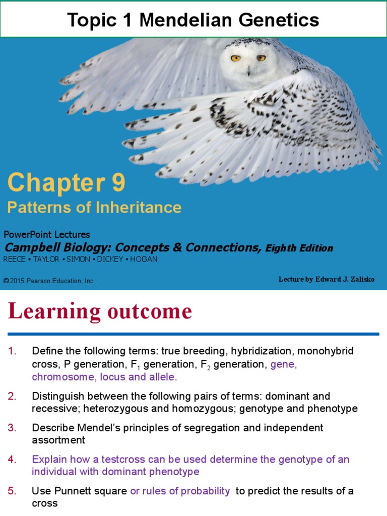 Topic 1 Mendelian Genetics: Patterns of Inheritance | PDF