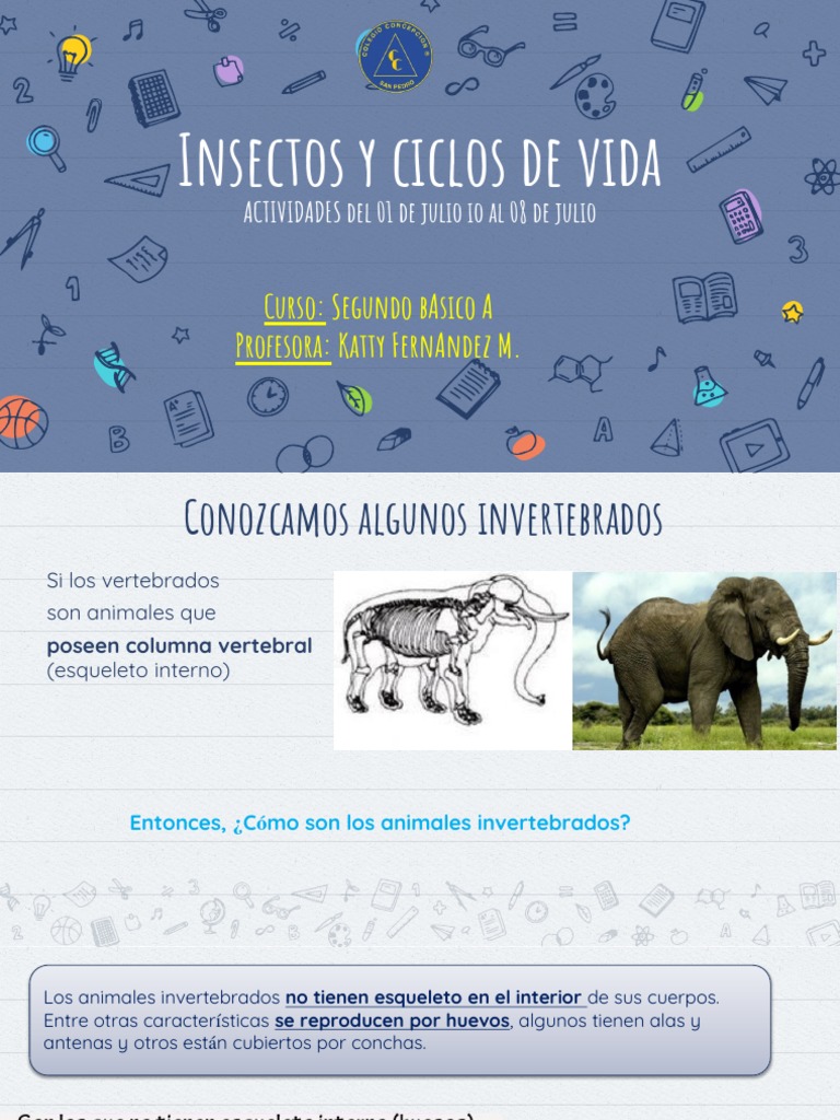 Insectos y Ciclos de Vida para Niños | PDF | Ciencia y matemáticas