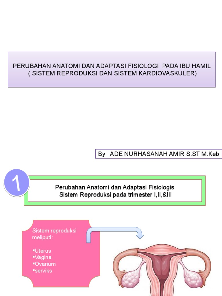 Perubahan Anatomi Dan Fisiologi Dalam Kehamilan | PDF