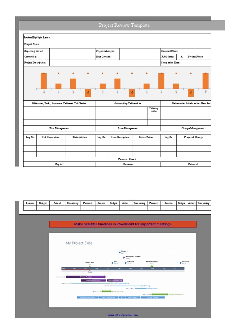 Excel Project Review Template | PDF | Computing | Software