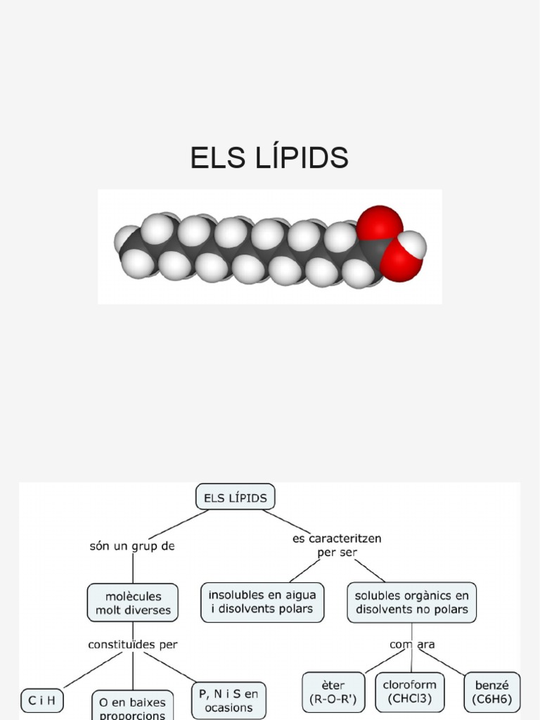 Presentació Sobre Els Lípids PDF | PDF