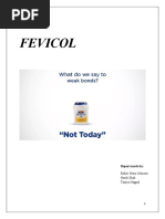 Fevicol Case Study | PDF | Brand | Adhesive
