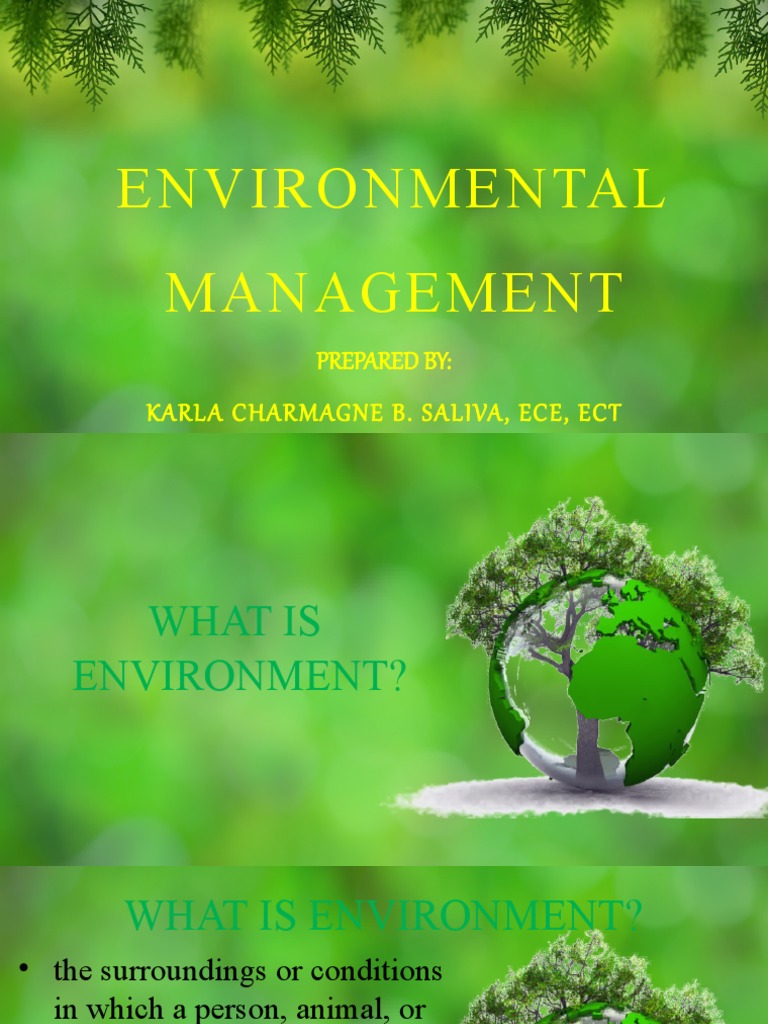 Introduction To Environmental Management | PDF | Infographics ...