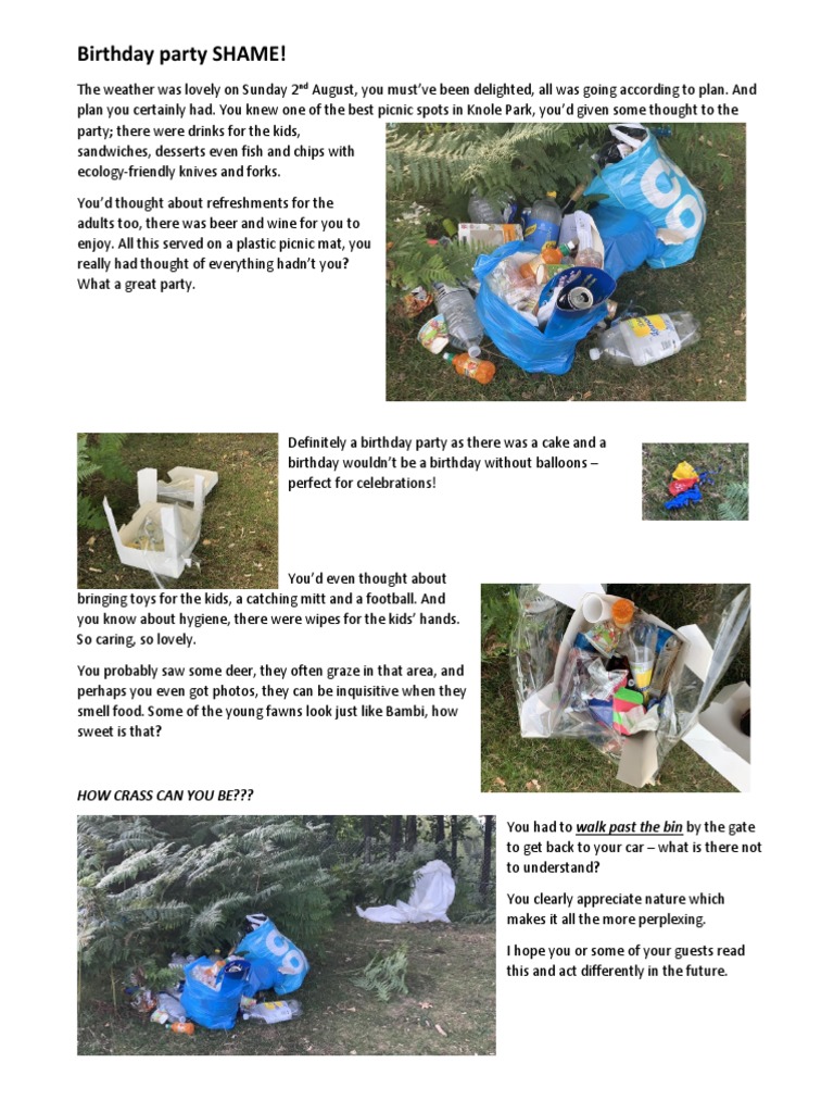 Birthday Party Littering Shame | PDF