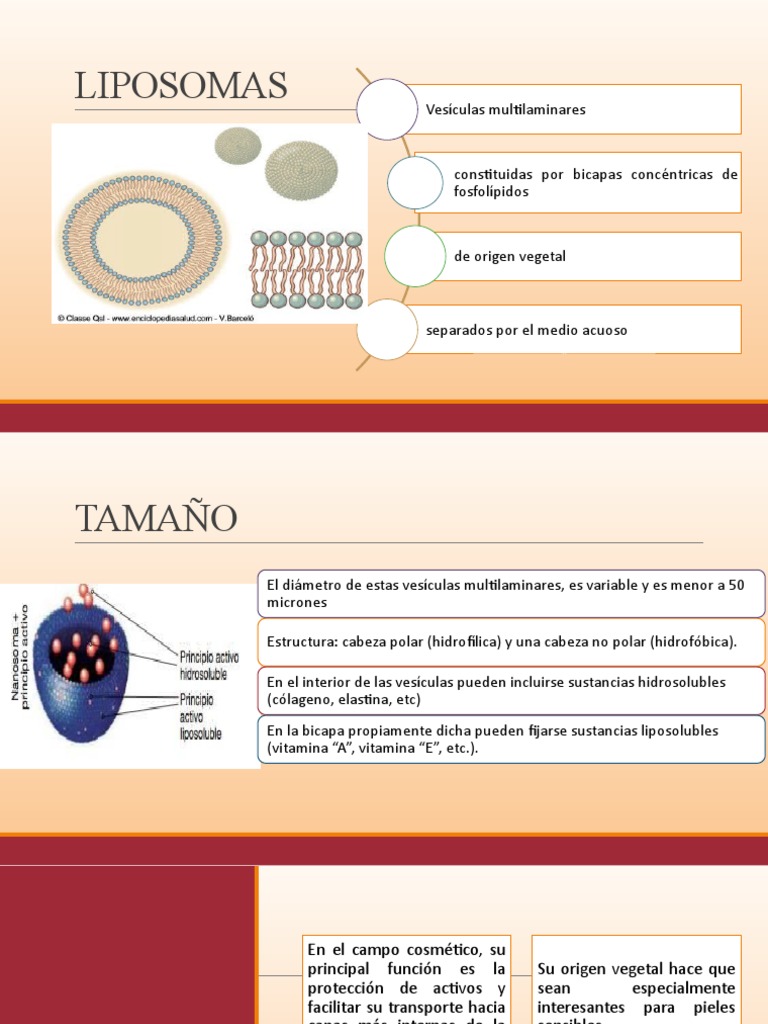 Liposomas | PDF