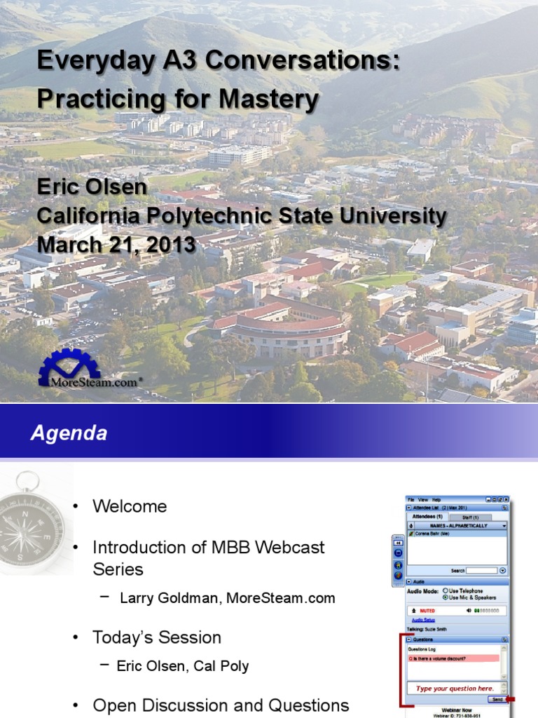 Mastering A3 Conversations for Lean Six Sigma | PDF