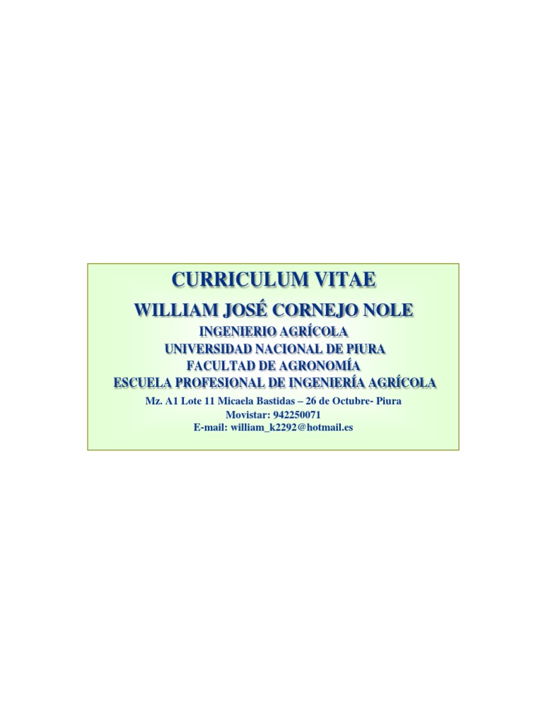 Curriculum William 2020 PDF | PDF | Ingeniería | Perú