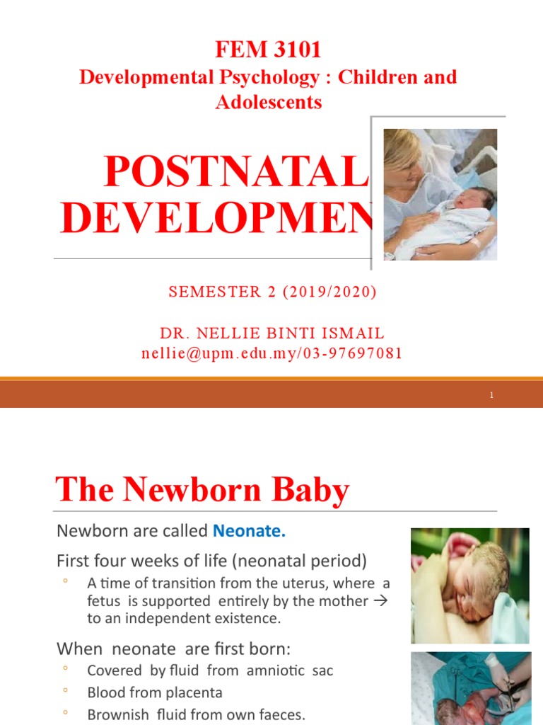 Notes - Week 3 4 - Postnatal Development | PDF | Attachment Theory ...