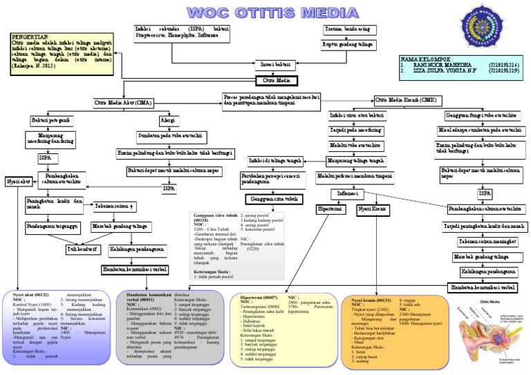 Woc Otitis Media 2 | PDF