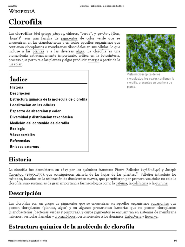 Clorofila - Wikipedia, La Enciclopedia Libre | PDF | Clorofila ...