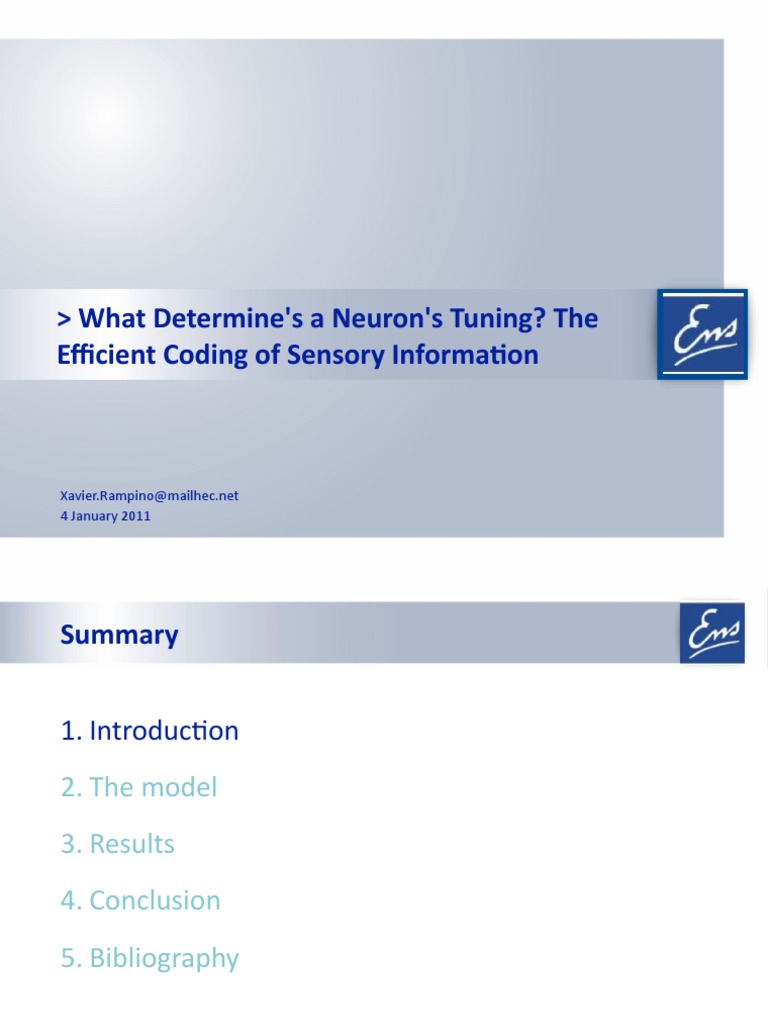 Auditory Coding | PDF | Information | Perception