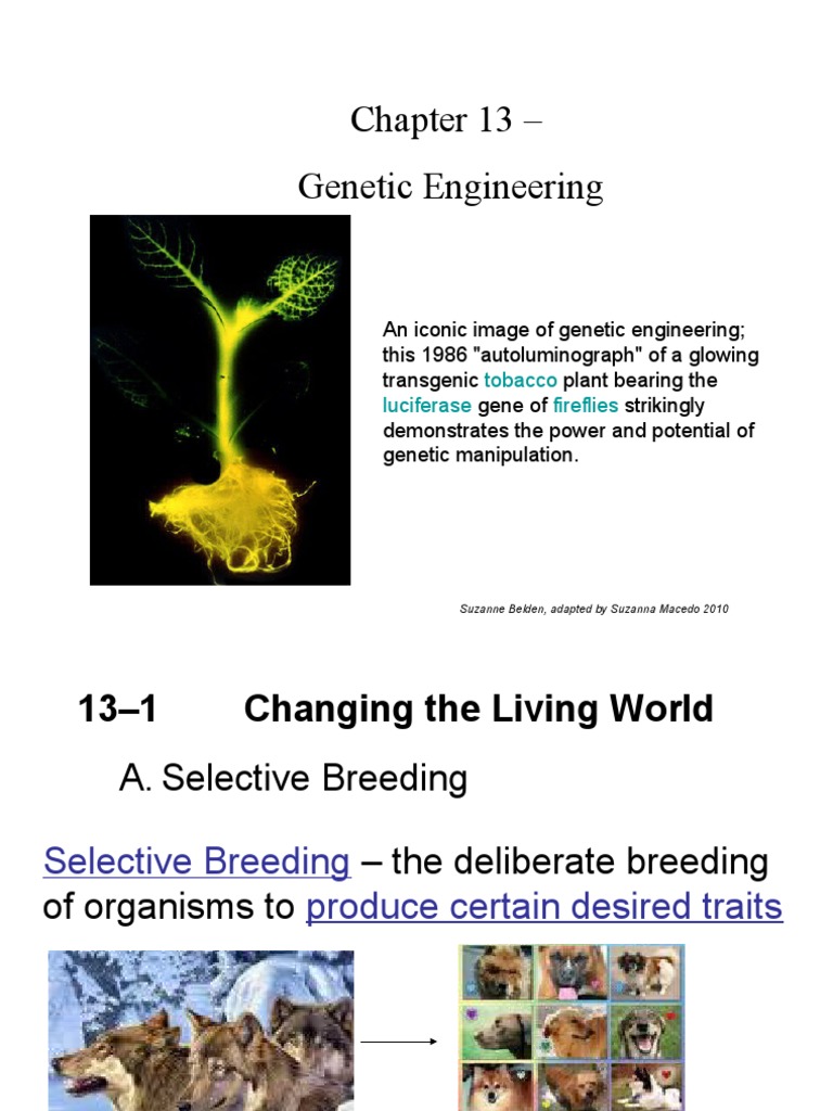 Genetic Engineering: Tools, Techniques and Applications | PDF | Dna ...