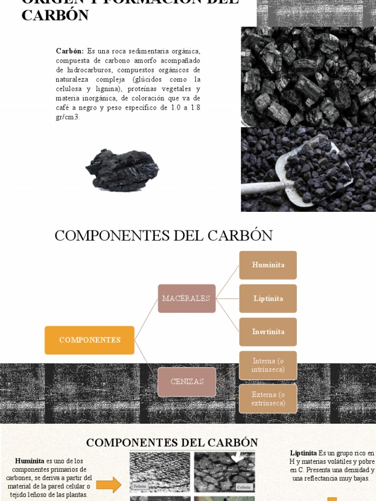 El Carbon | PDF | Carbón | Minería