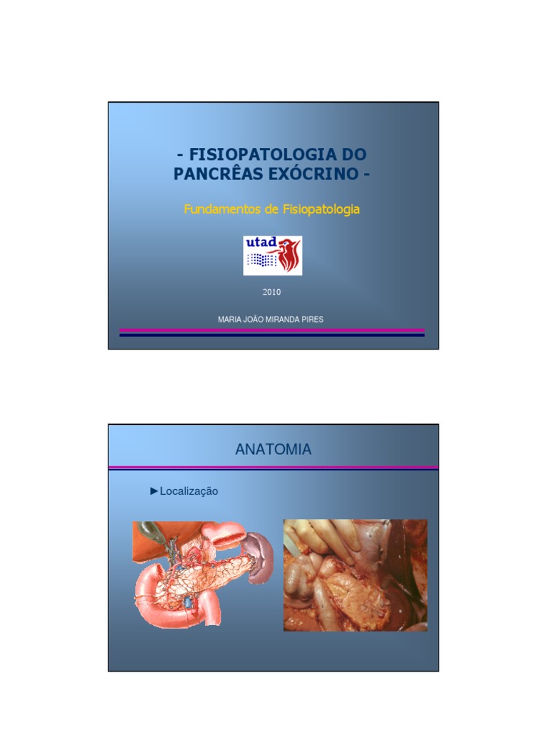 Fisiopatologia Pancreas Exocrino-Cores | PDF | Pâncreas | Anatomia animal