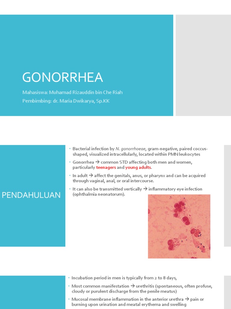 Kuliah Go Untar | PDF