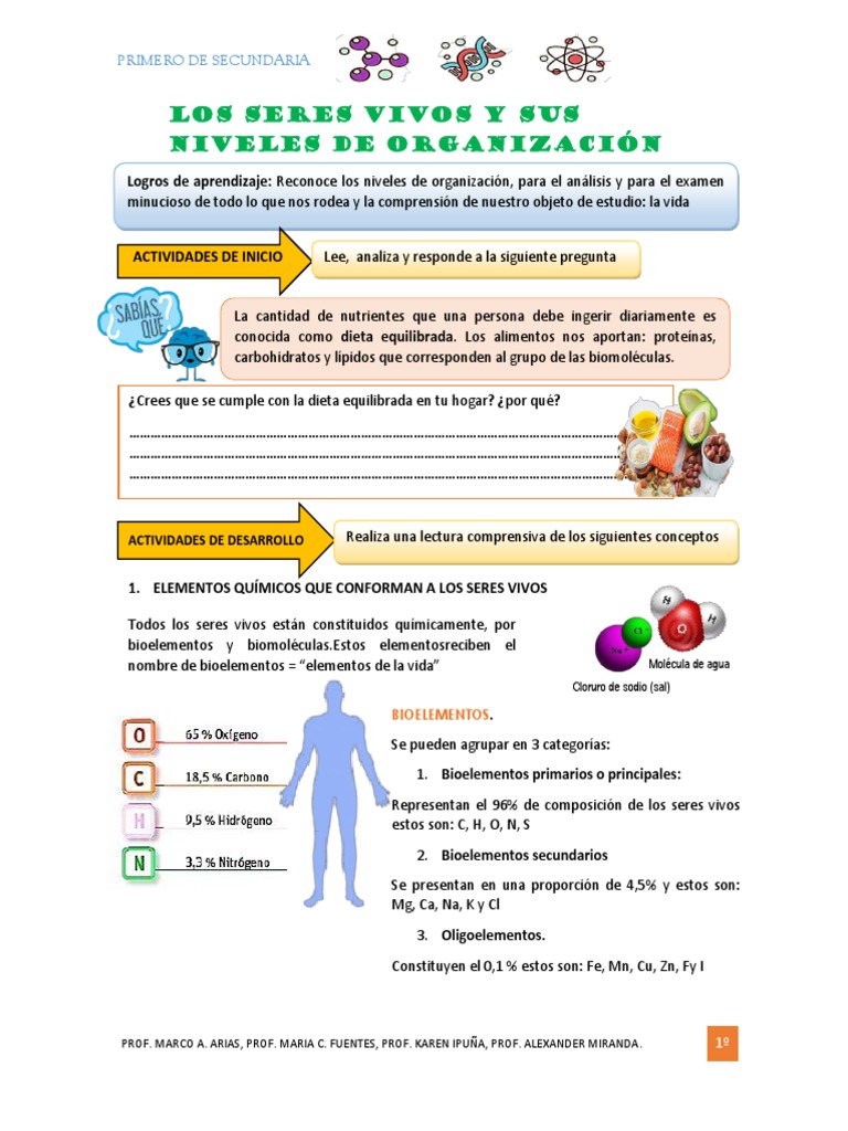 Composición de Biomoléculas en Seres Vivos | PDF | Biomoléculas ...